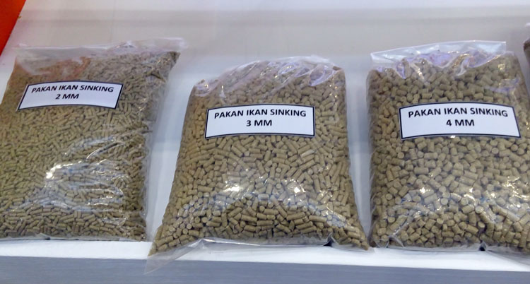 Pakan Terapung Versus Pakan Tenggelam | Bebeja.com